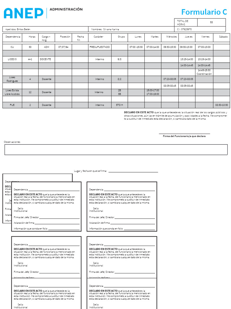 Formulario C Interactivo | PDF