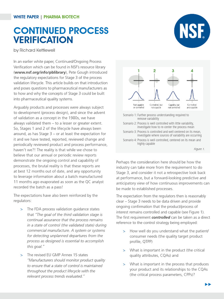 NSF PB White Paper Continued Process Verification | PDF