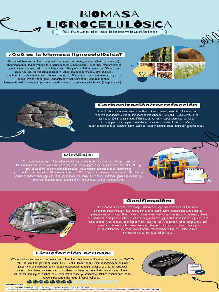 Infografia de Las Pentosas | PDF | Biomasa | Tecnología energética