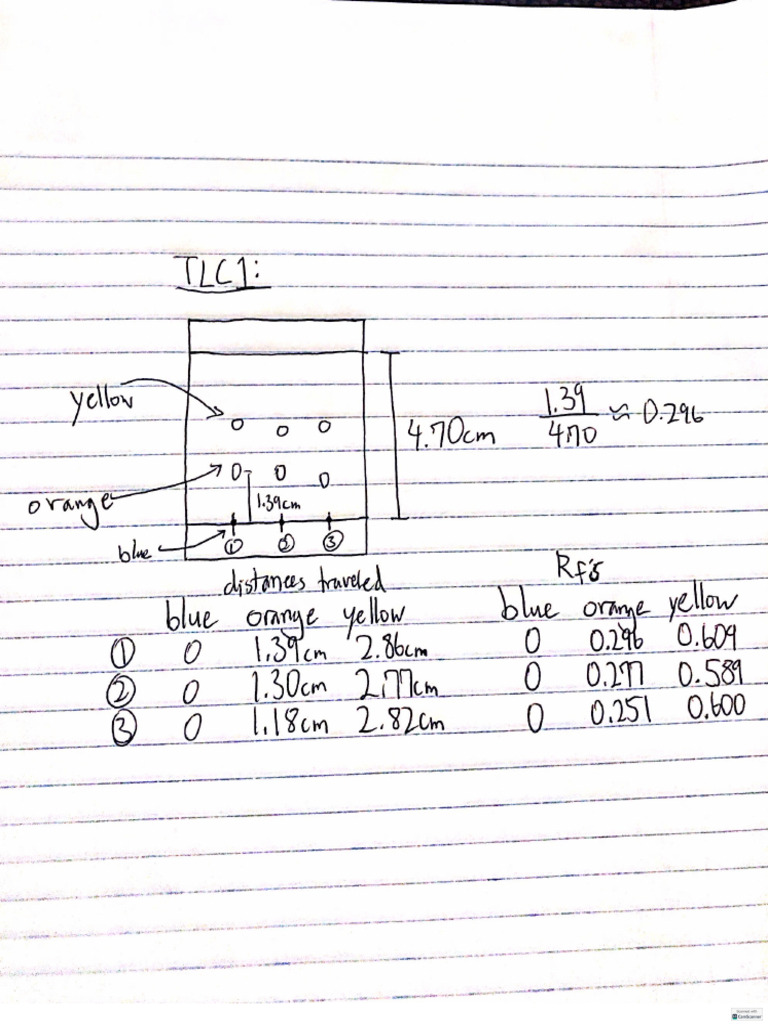 L3 Worksheet Drawing | PDF