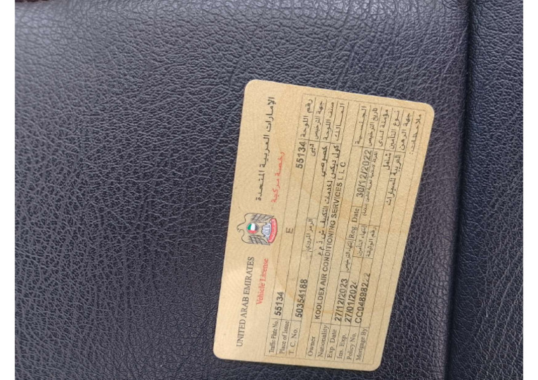 Vehicle License | PDF