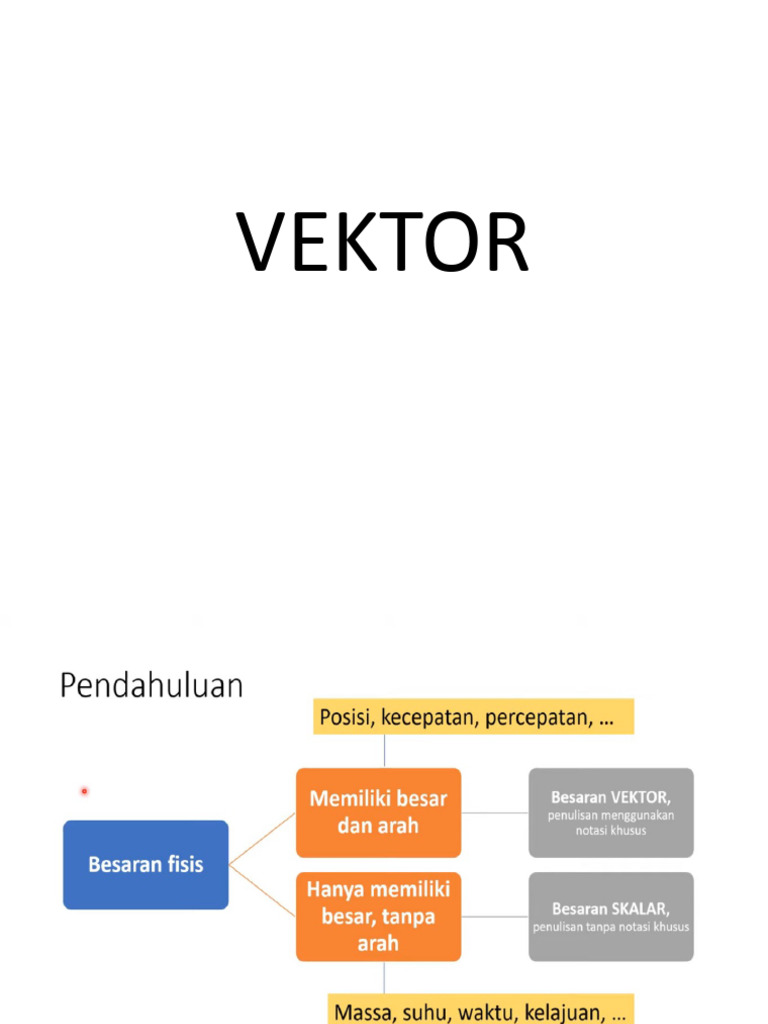 Vektor | PDF