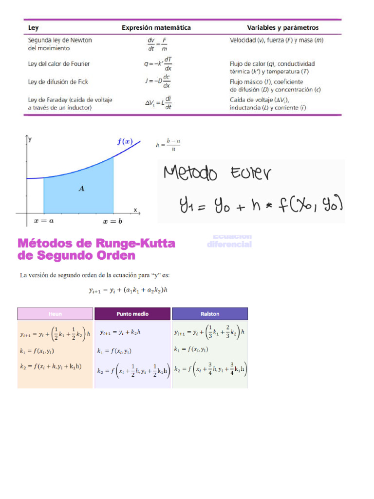 Formulario MN | PDF