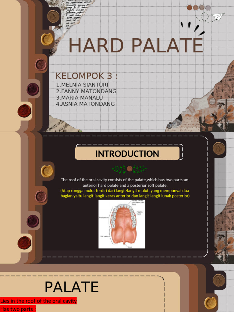 Anatomy and Function of Hard Palate | PDF | Foreign Language Studies ...