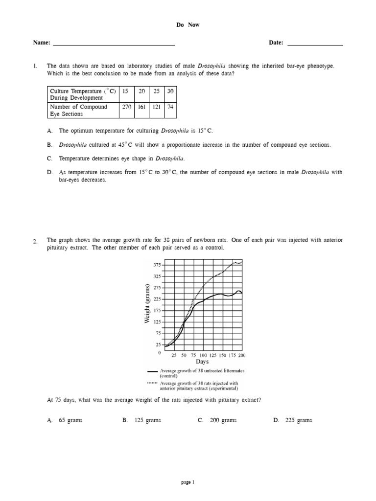 Do Now | PDF