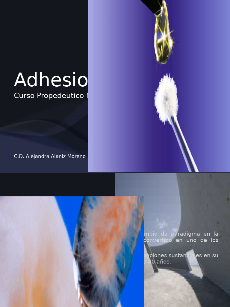 Presentacion Final | PDF