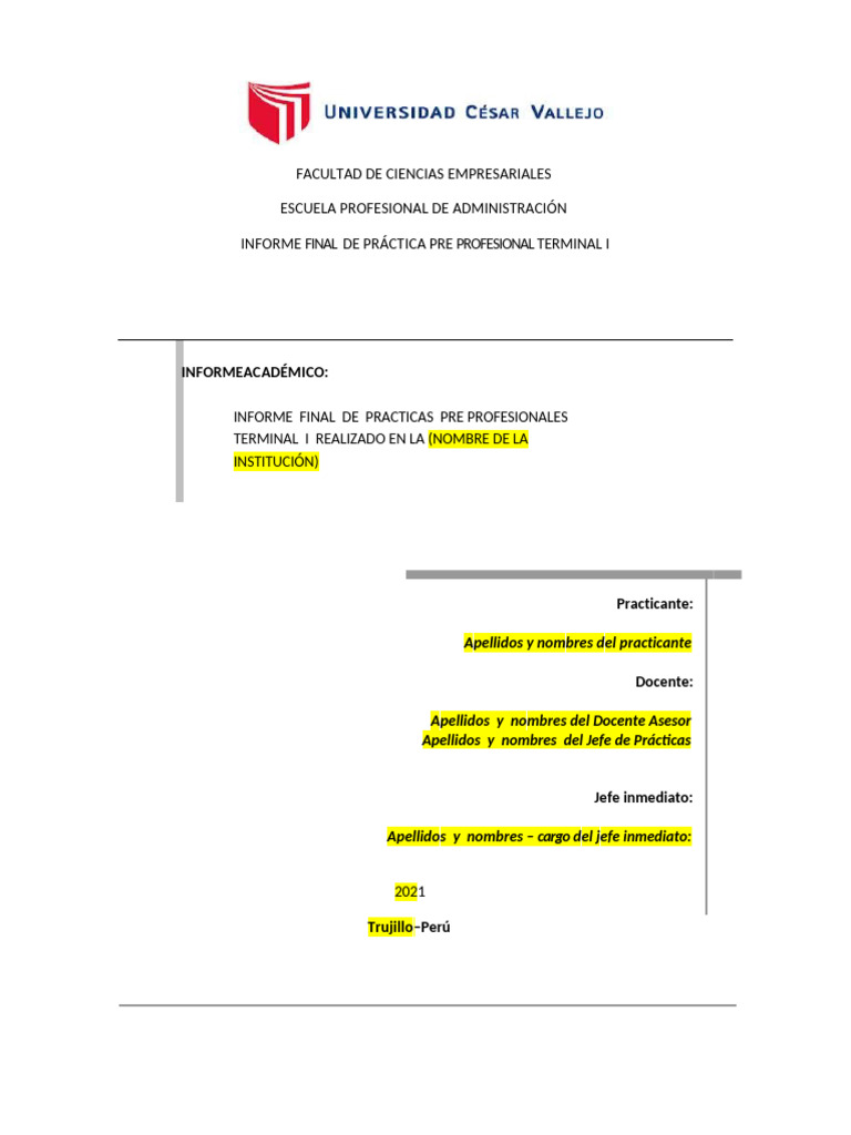 Informe Practicas Preprofesionales Terminal 01 | PDF