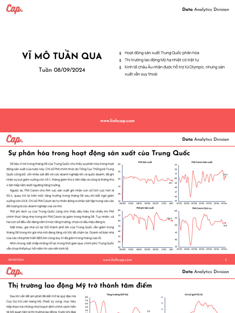 Bao Cao VI Mo Tuan 20240908 | PDF