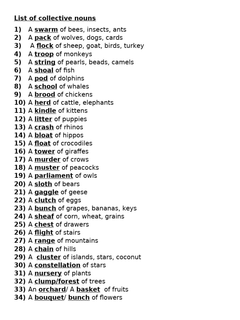 Collective Nouns List for Grade 7 | PDF | Art | Young Adult