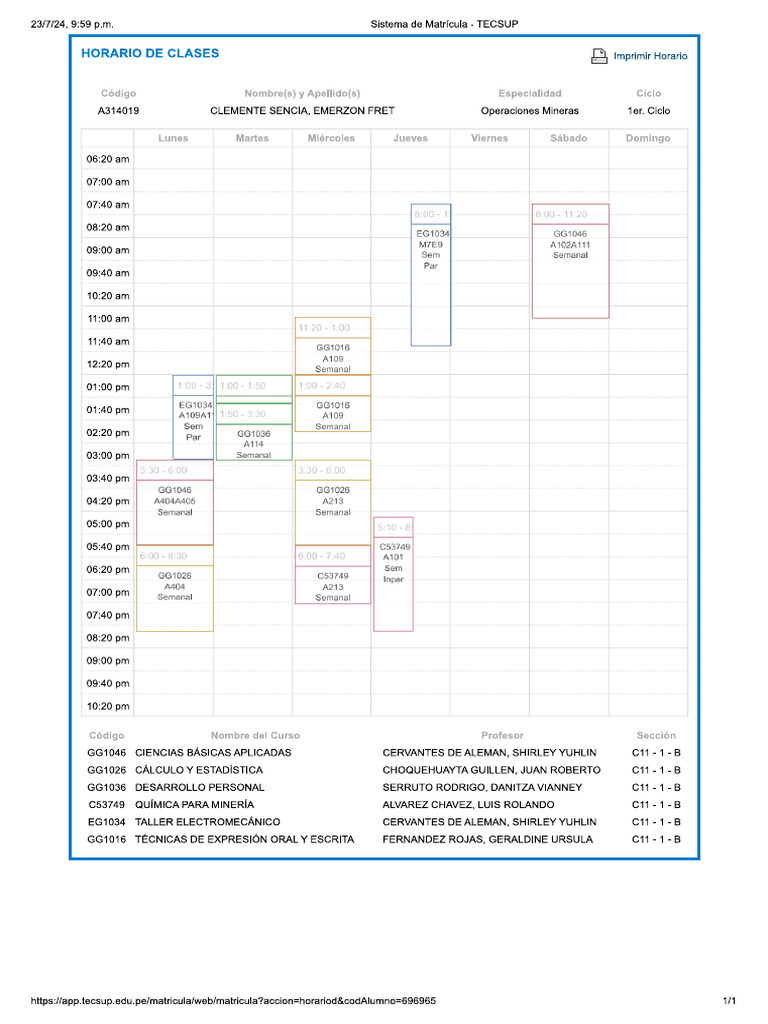 Sistema de Matrícula - TECSUP | PDF