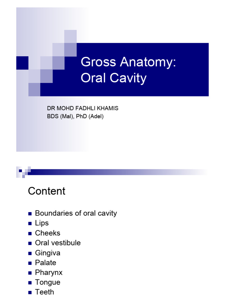 Oral cavity | PDF