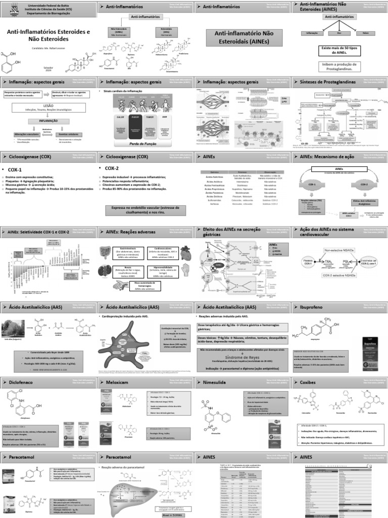 03 - AINEs e AIES | PDF