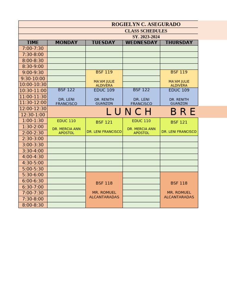 ASEGURADO_MS Excel_Activity #1 | PDF