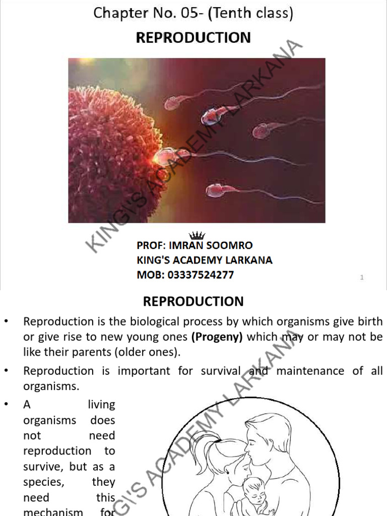 Chapter No. 05 Reproduction - Watermark | PDF
