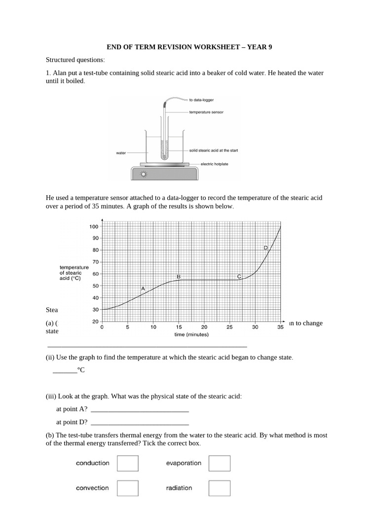 End of Term Revision Worksheet | PDF