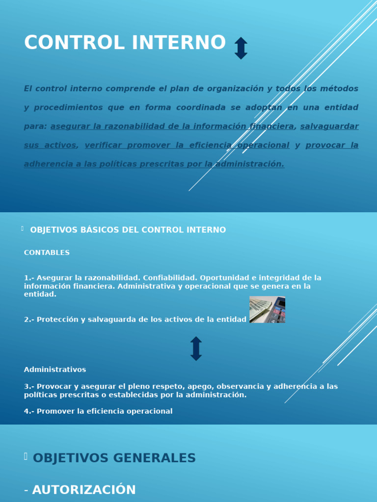 CONTROL INTERNO (3) | PDF