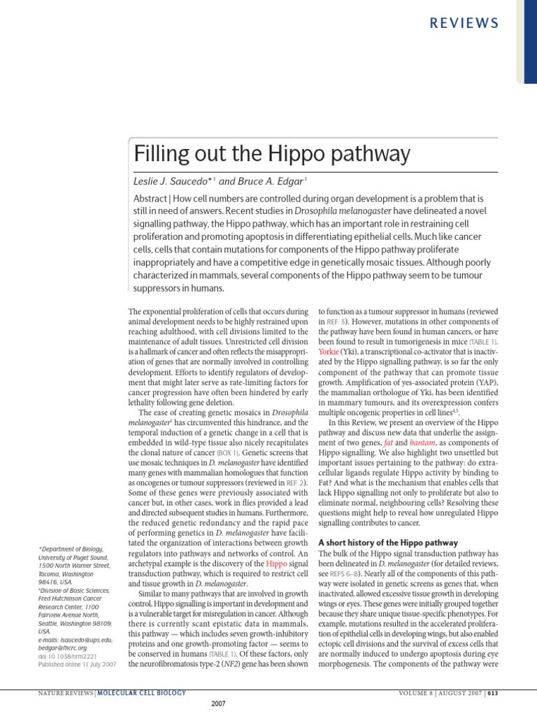 Filling Out The Hippo Pathway | PDF