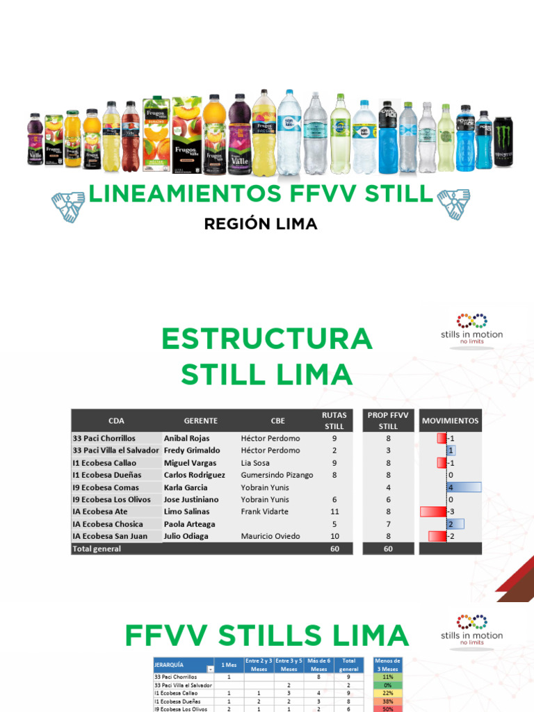 Lineamientos FFVV Still 2023 - Lima | PDF