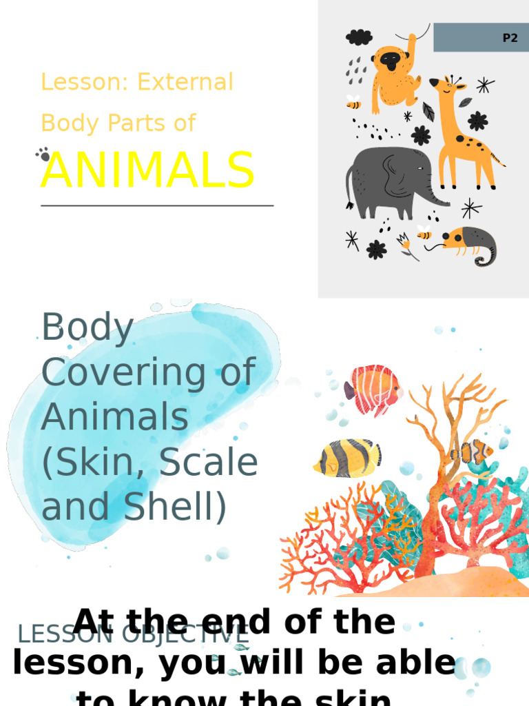 External Parts of Animals (Skin, Scale and Shell) | PDF