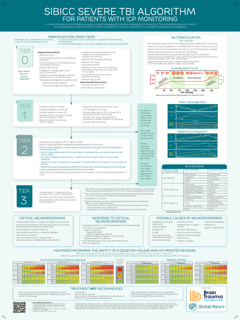 SIBICC+Consensus+Poster BTF | PDF