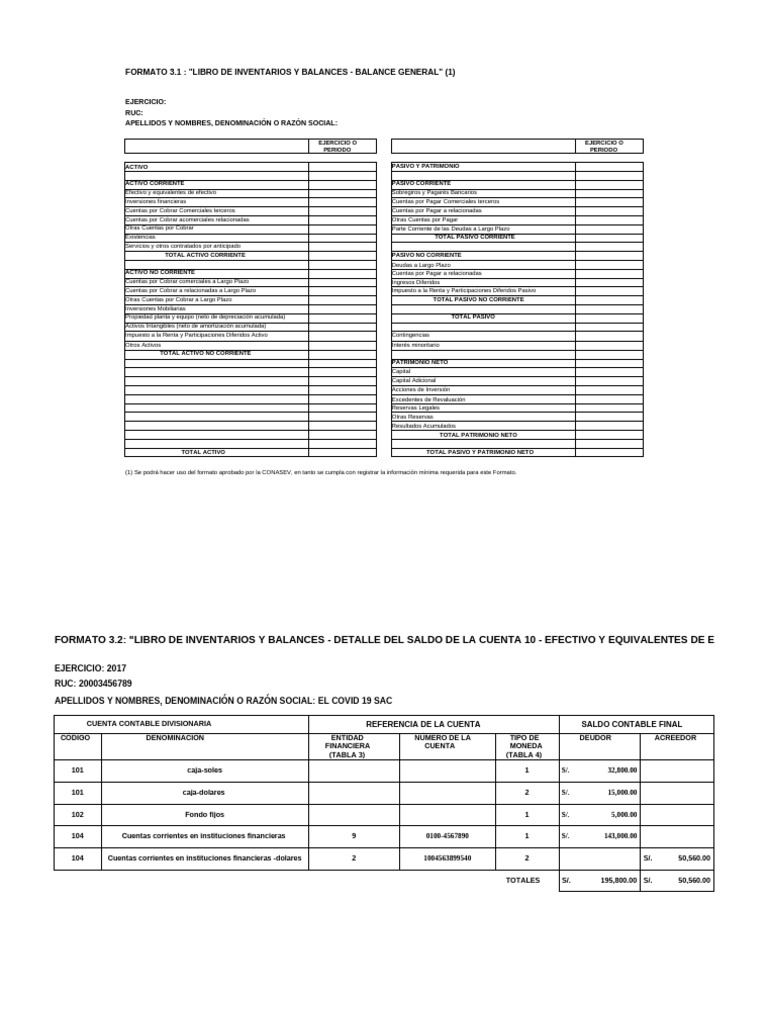 Formato 3.1 Balance General Actualizado 2022b - Randy Roca | PDF