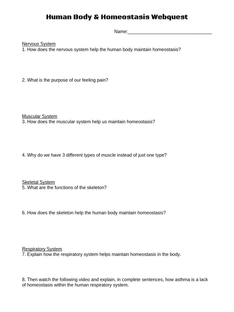 Human Body Homeostasis Webquest Worksheet | PDF