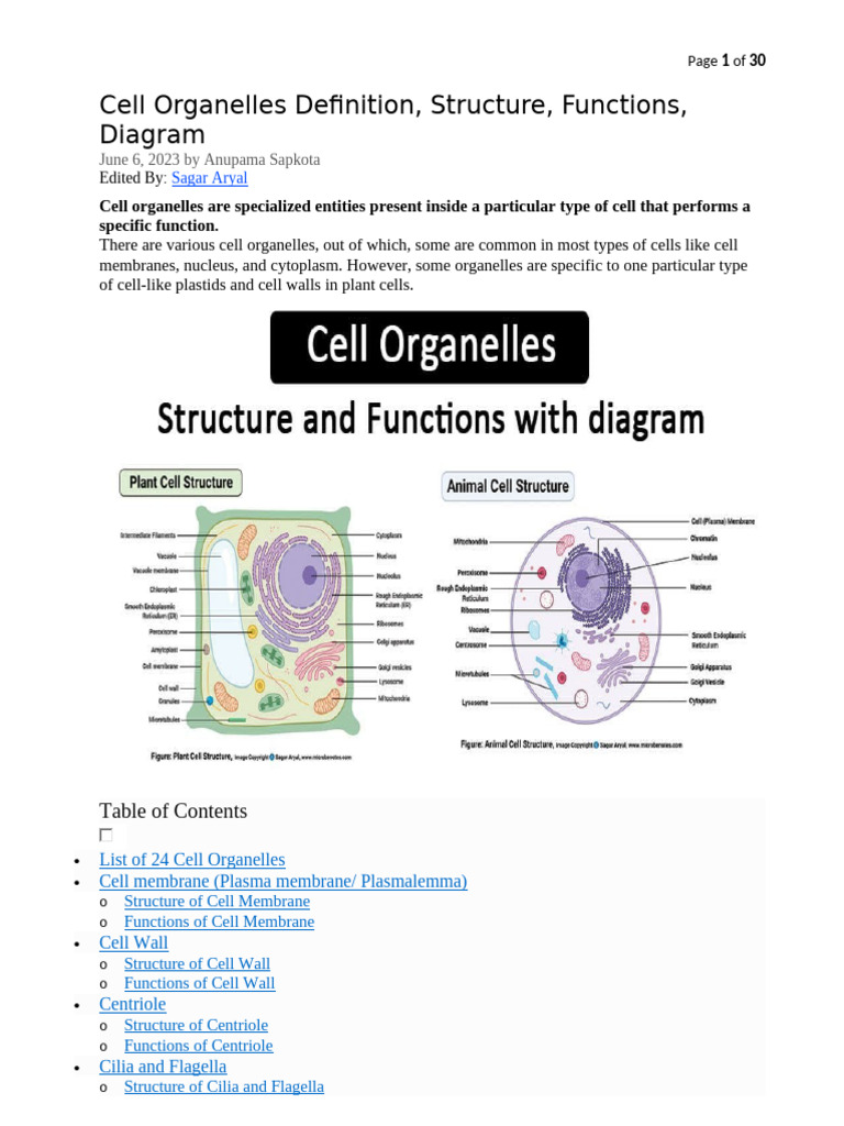 Best Cell Organelles Definition Structure Functions Diagram Pdf