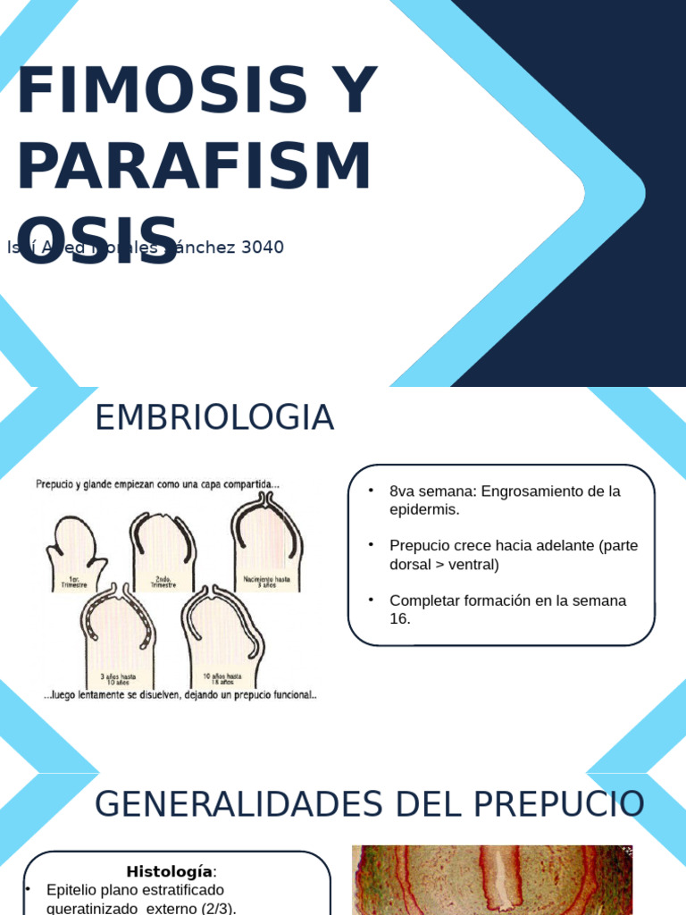Fimosis y Parafimosis | PDF | Pene | Urología