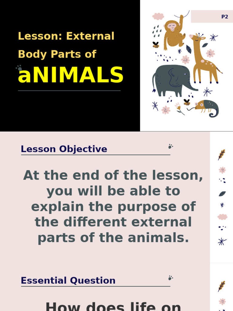 External Parts of Animals (Fur - Hair and Feathers) | PDF