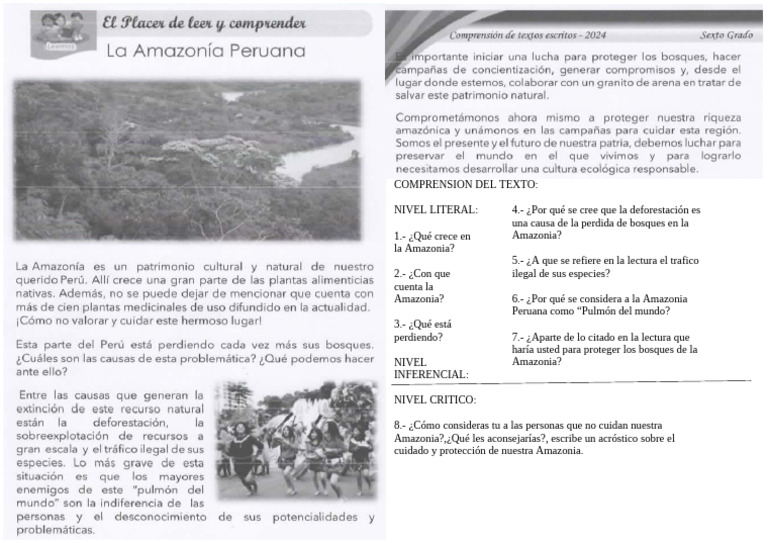 COMPRENSION DEL TEXTO | PDF