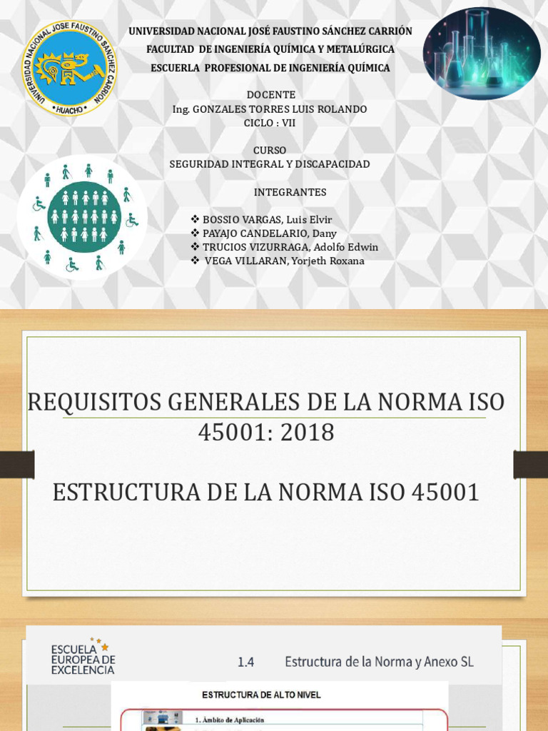 Del Iso 45001 Estructura de La Norma y Anexo SL | PDF