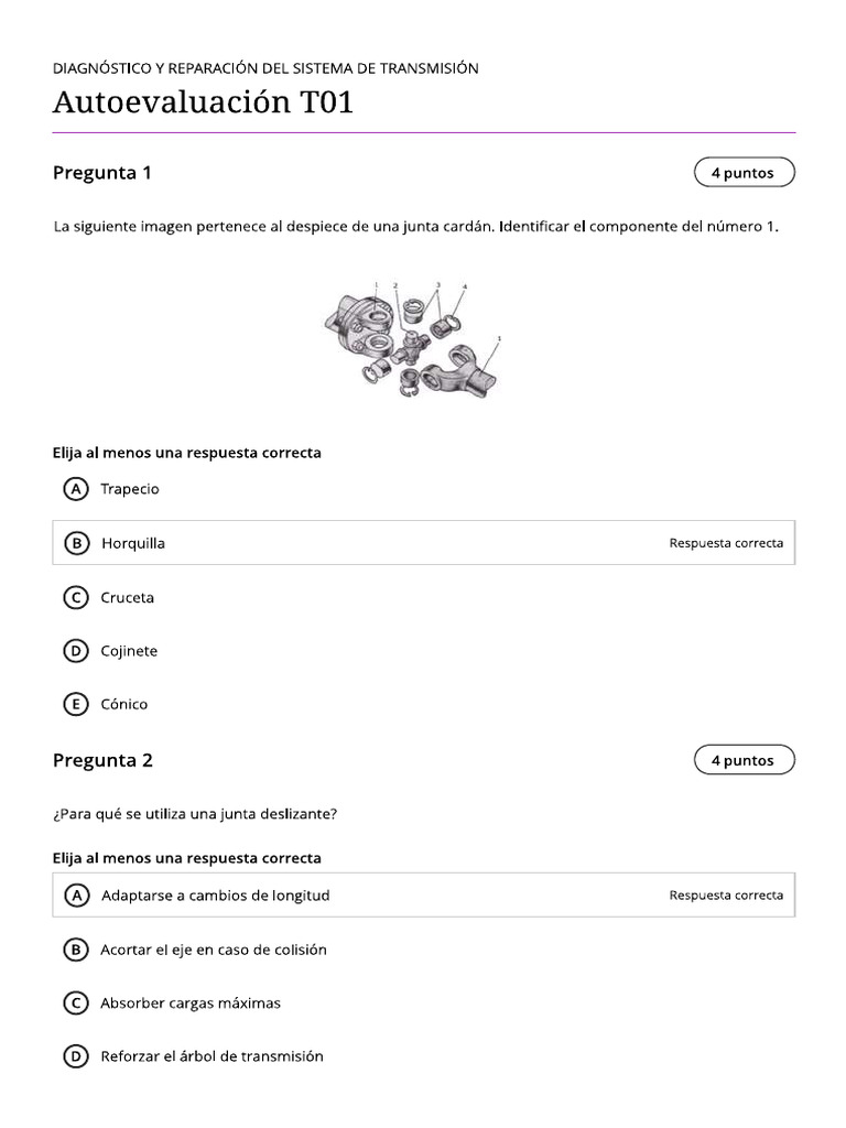 autoevaluacion T01 | PDF