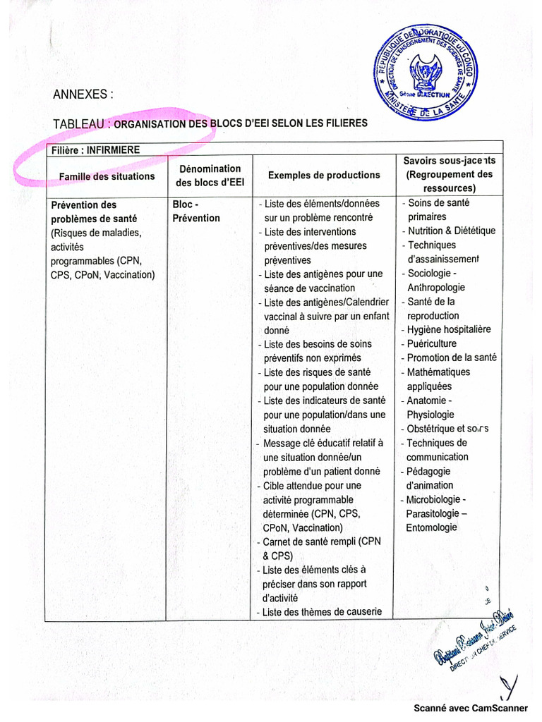 Annexes, Organisation Des Blocs Selon Les Filières 1. Infirmière | PDF
