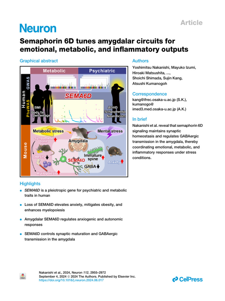 Semaphorin 6D Tunes Amygdalar Circuits For Emotion | PDF