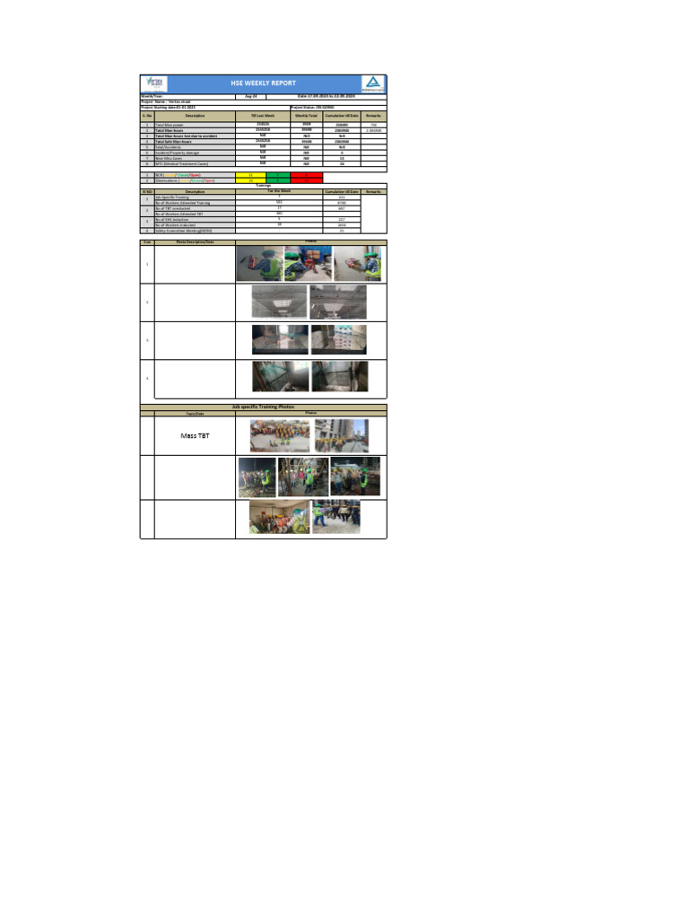 Virrat HSE Weekly Statistics | PDF