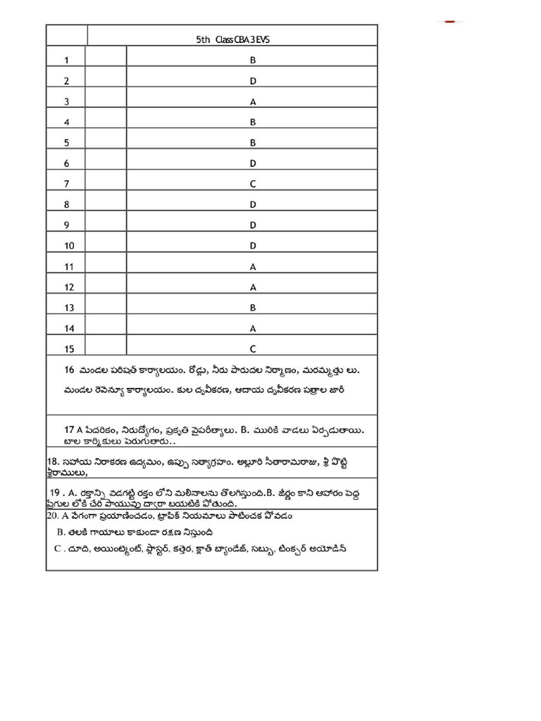 5th Class CBA 3 EVS | PDF