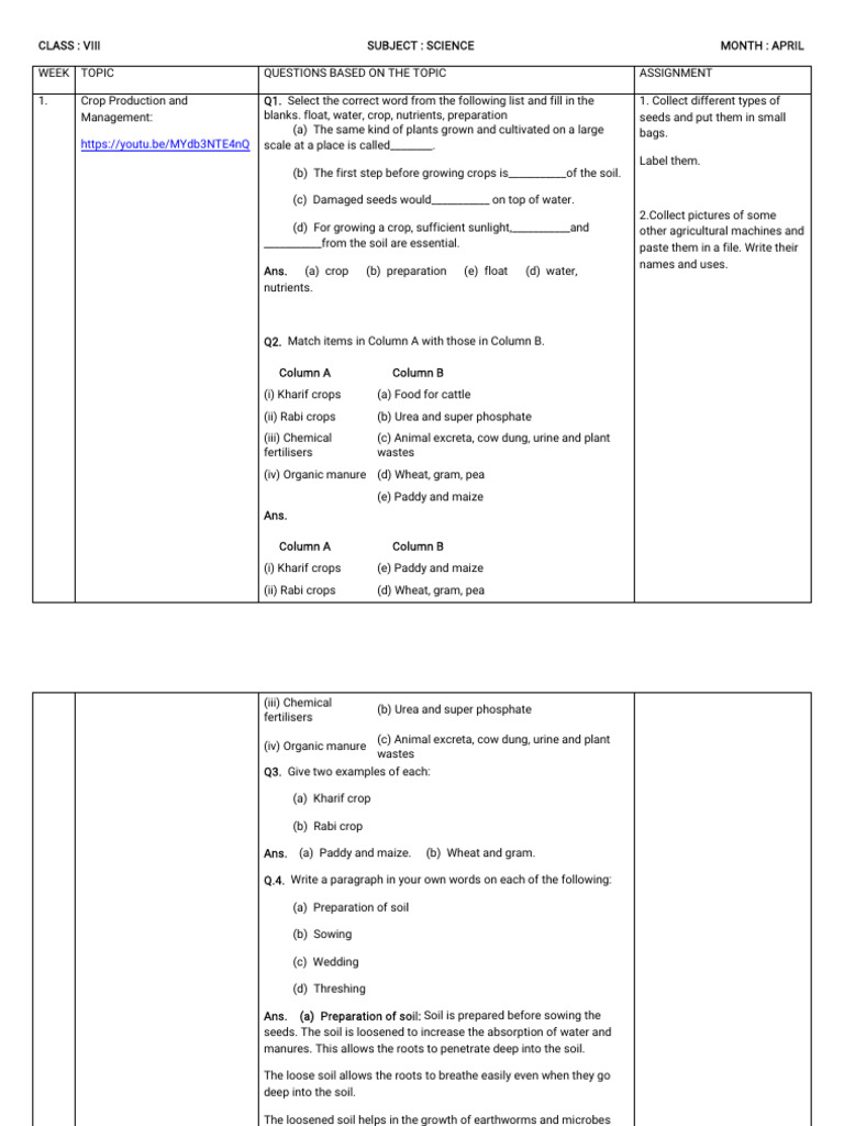 Class Viii Science Holiday Homework | PDF