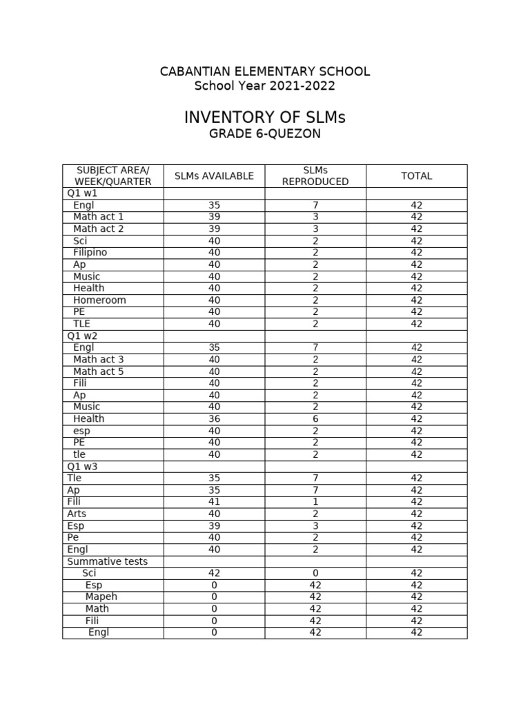 Q1-Lapu-Lapu-Slm Report | PDF