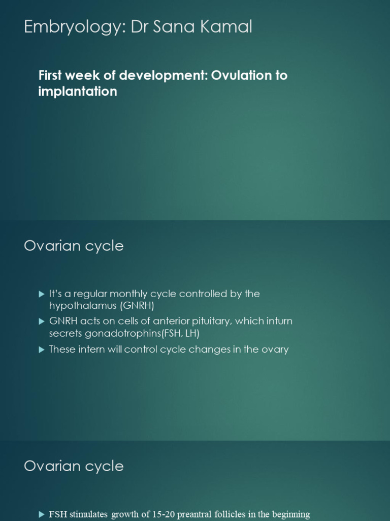 LG 2 (First Week) | PDF