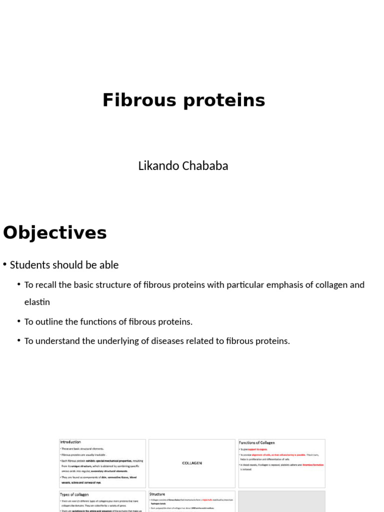 Fibrous Proteins 2 | PDF