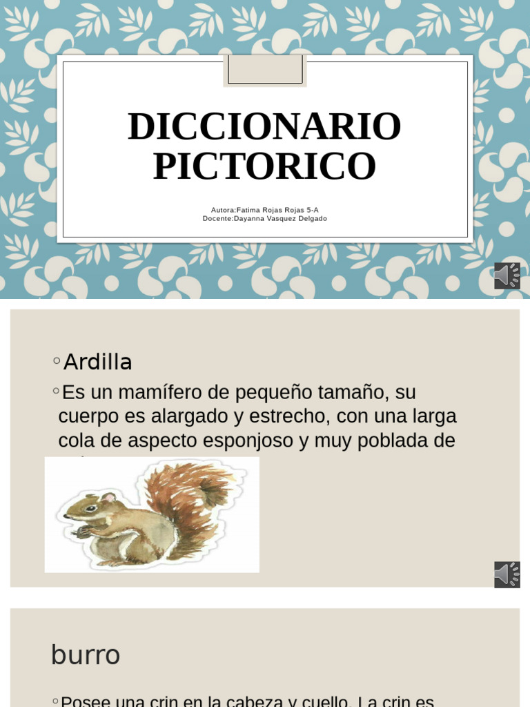 Diccionario pictorico | PDF