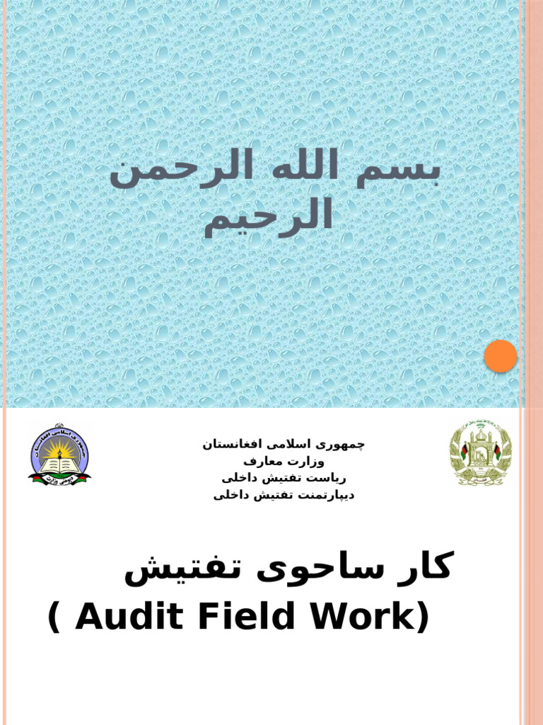 Presentation - Field Work | PDF
