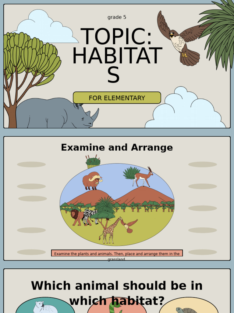 Habitats Lesson For Elementary | PDF