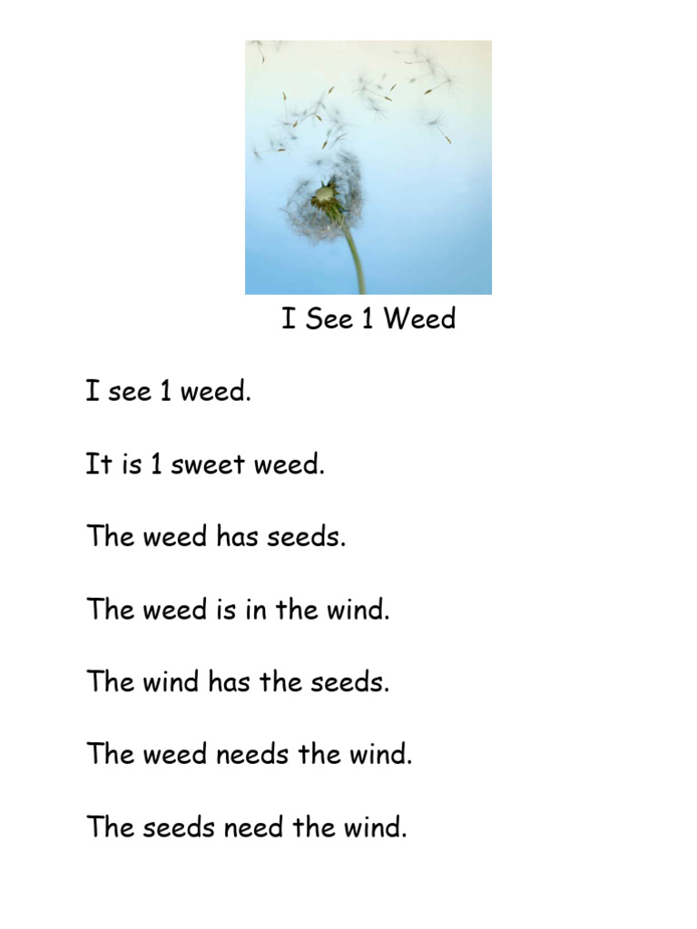 First Class Java | PDF