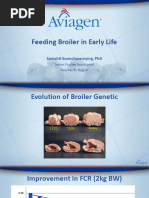 H&N Nick Chick Layer Management Guide | PDF | Chicken | Disinfectant