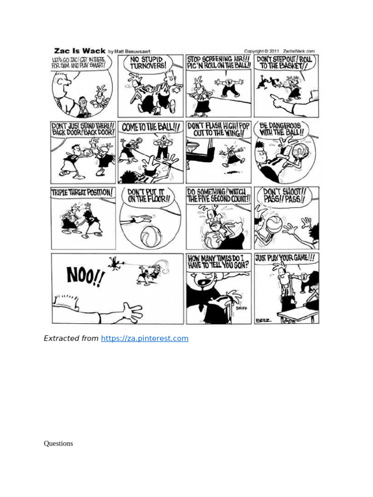 Grade 11 Cartoon Questions and Memo | PDF