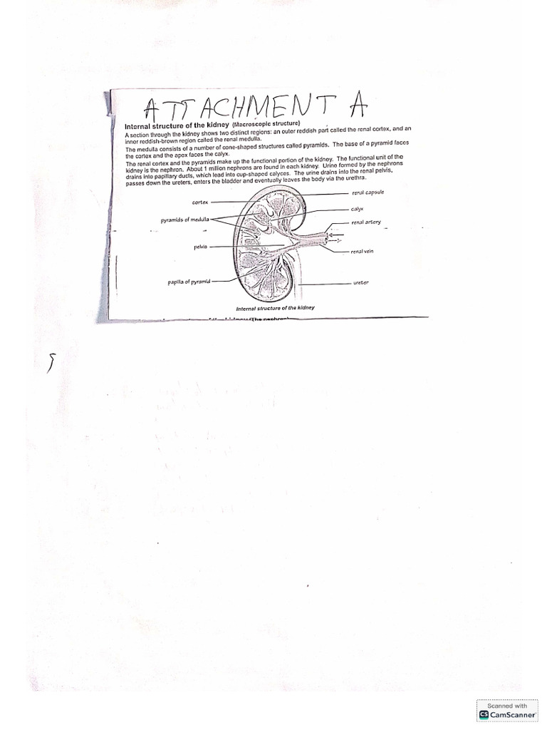 Exctrition Notes Pdf