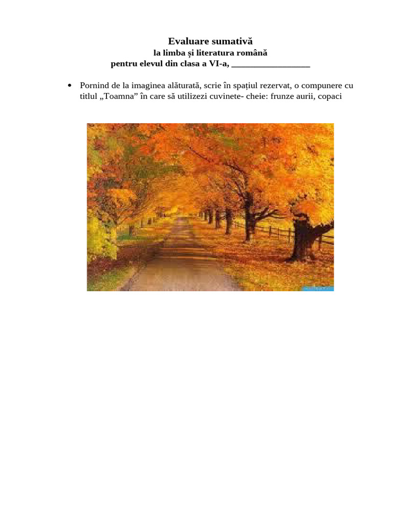 CES - Compunere | PDF