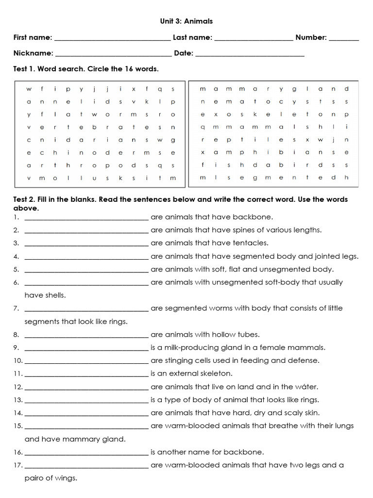 Unit 3 Wordsearch | PDF