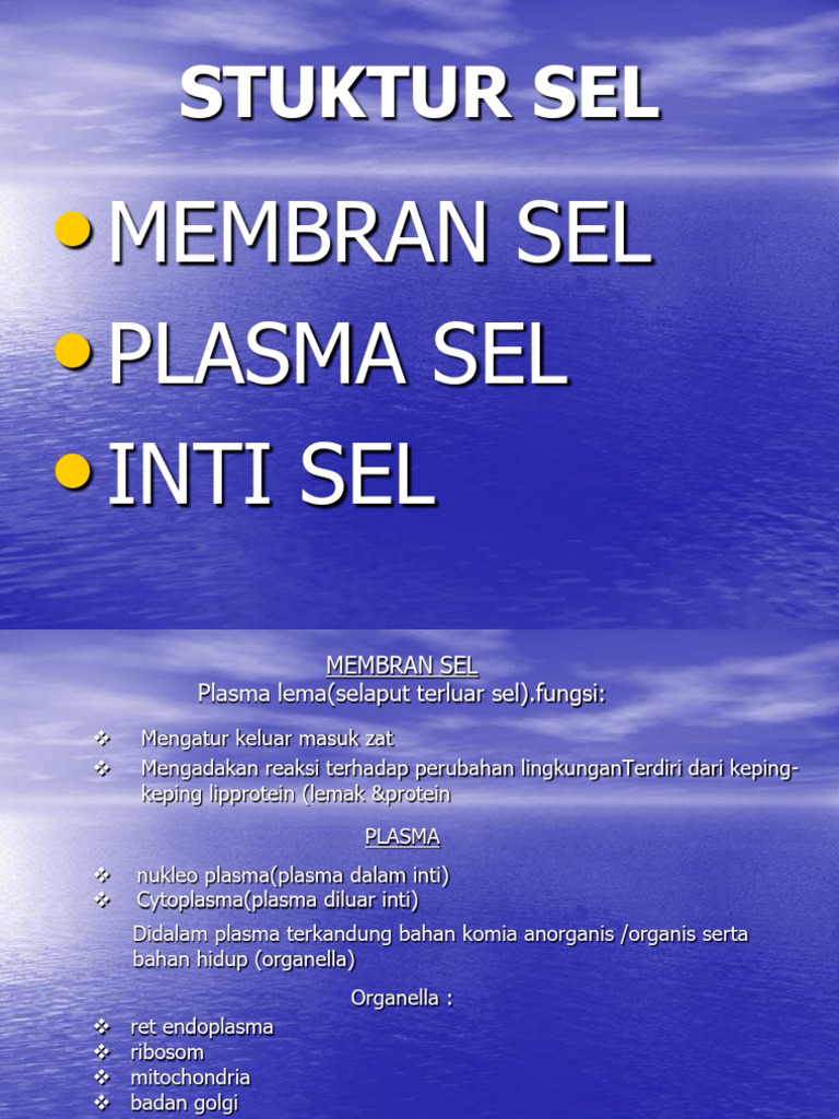 SEL | PDF